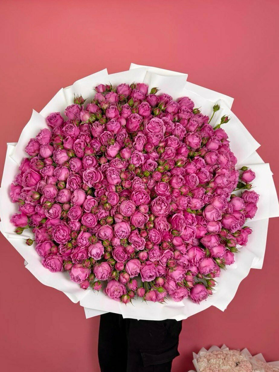 Большой букет из малиновых кустовых пионовидных роз Мисти Баблс