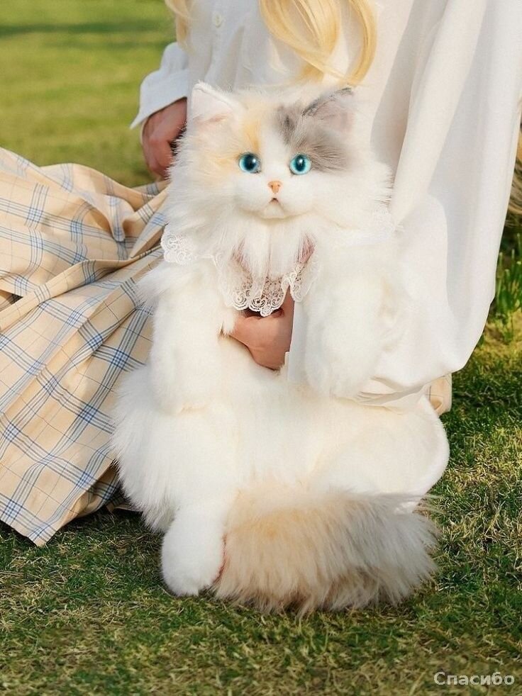 Сумка с котенком, ручная работа из кожи, очень милая, реалистичное изображение, 500 г, подарок для девочек