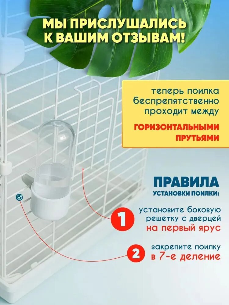 Клетка — фото 1