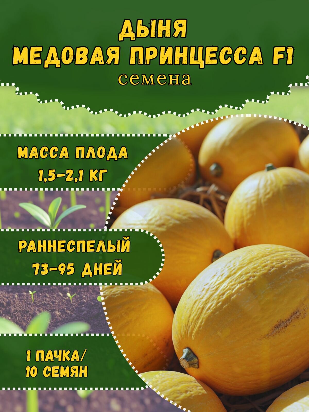 Семена Дыни "Медовая Принцесса F1", 10 семян
