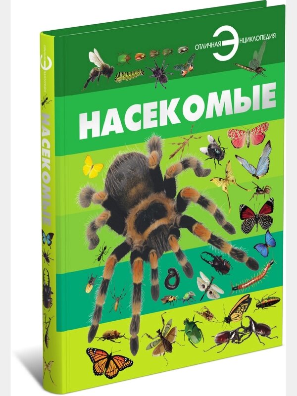 Книга, большая энциклопедия для детей, школьников Насекомые для чтения, с иллюстрациями