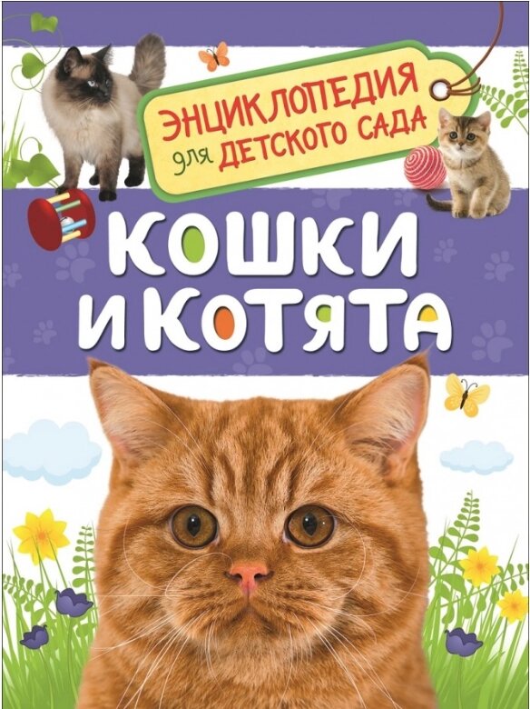 Кошки и котята. Энциклопедия для детского сада