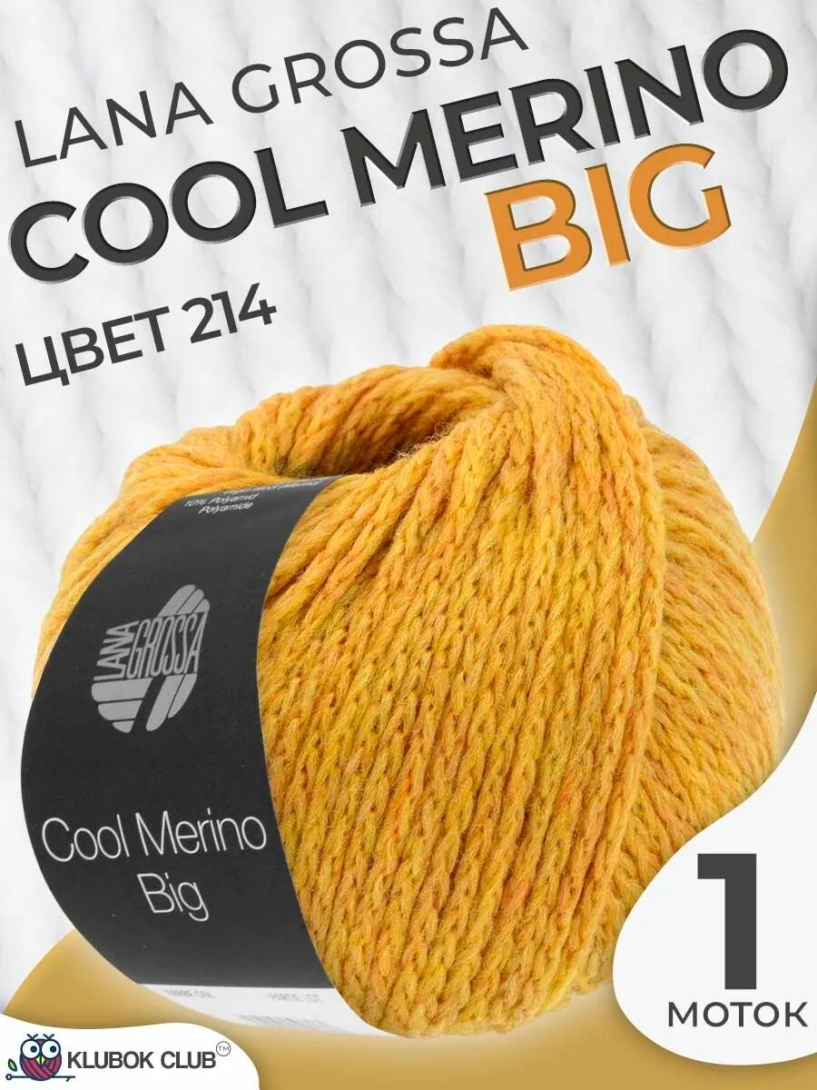 Пряжа для вязания Lana Grossa Cool Merino Big шнурок, цвет 214, 1 моток