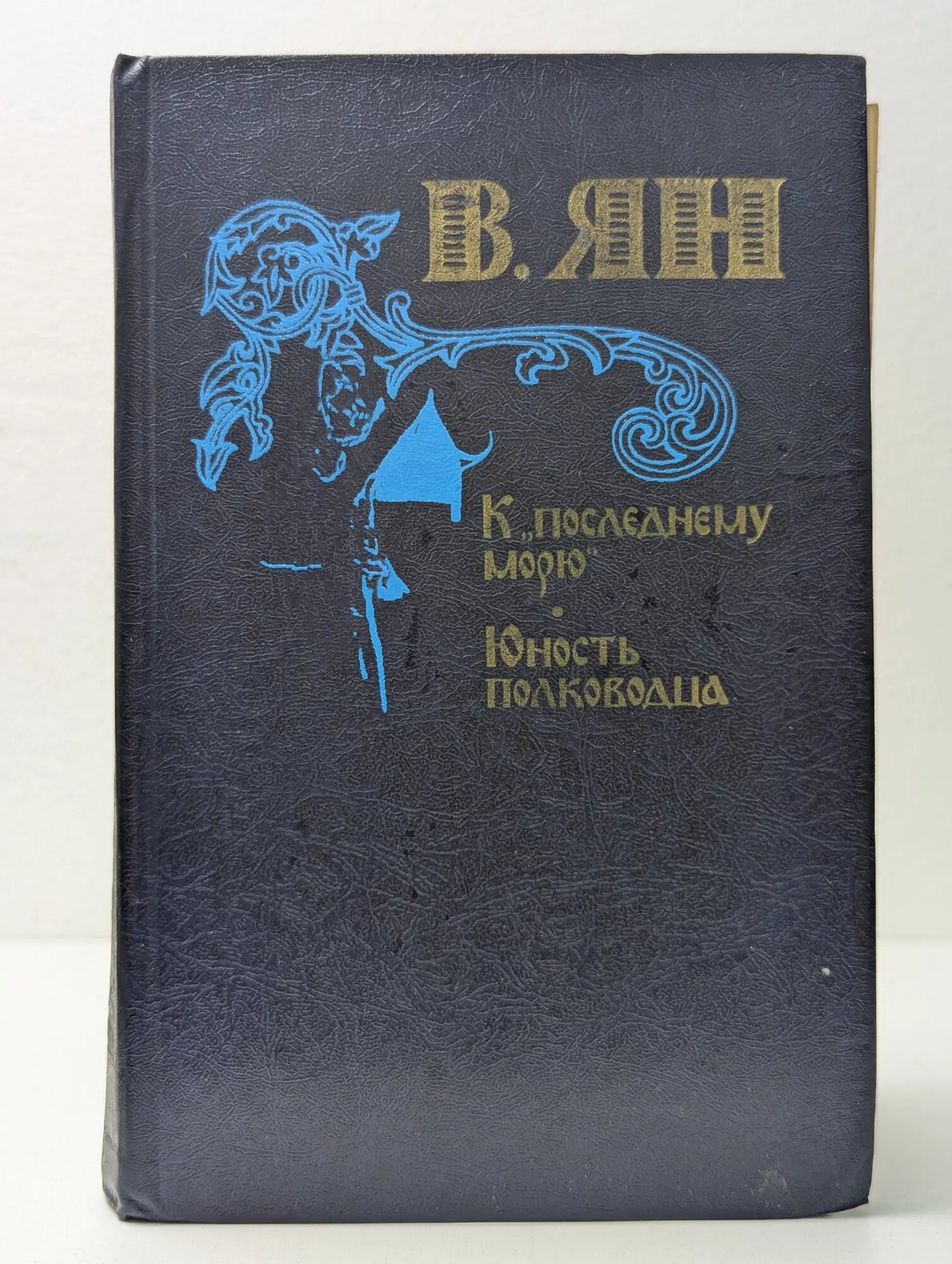 К последнему морю. Юность полководца Ян Василий Григорьевич 1981