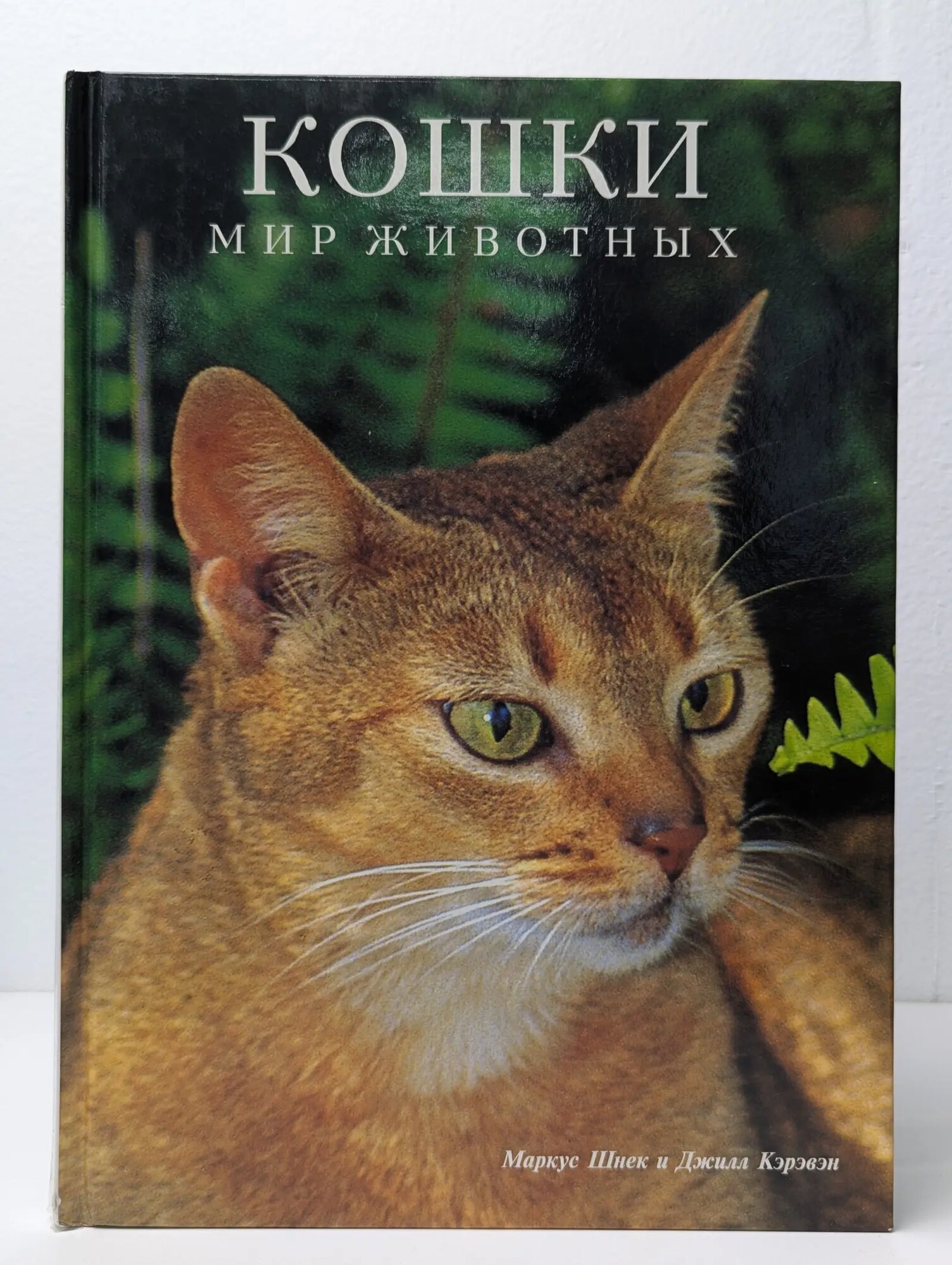Мир животных. Кошки Шнек Маркус, Кэрэвэн Джилл 1995