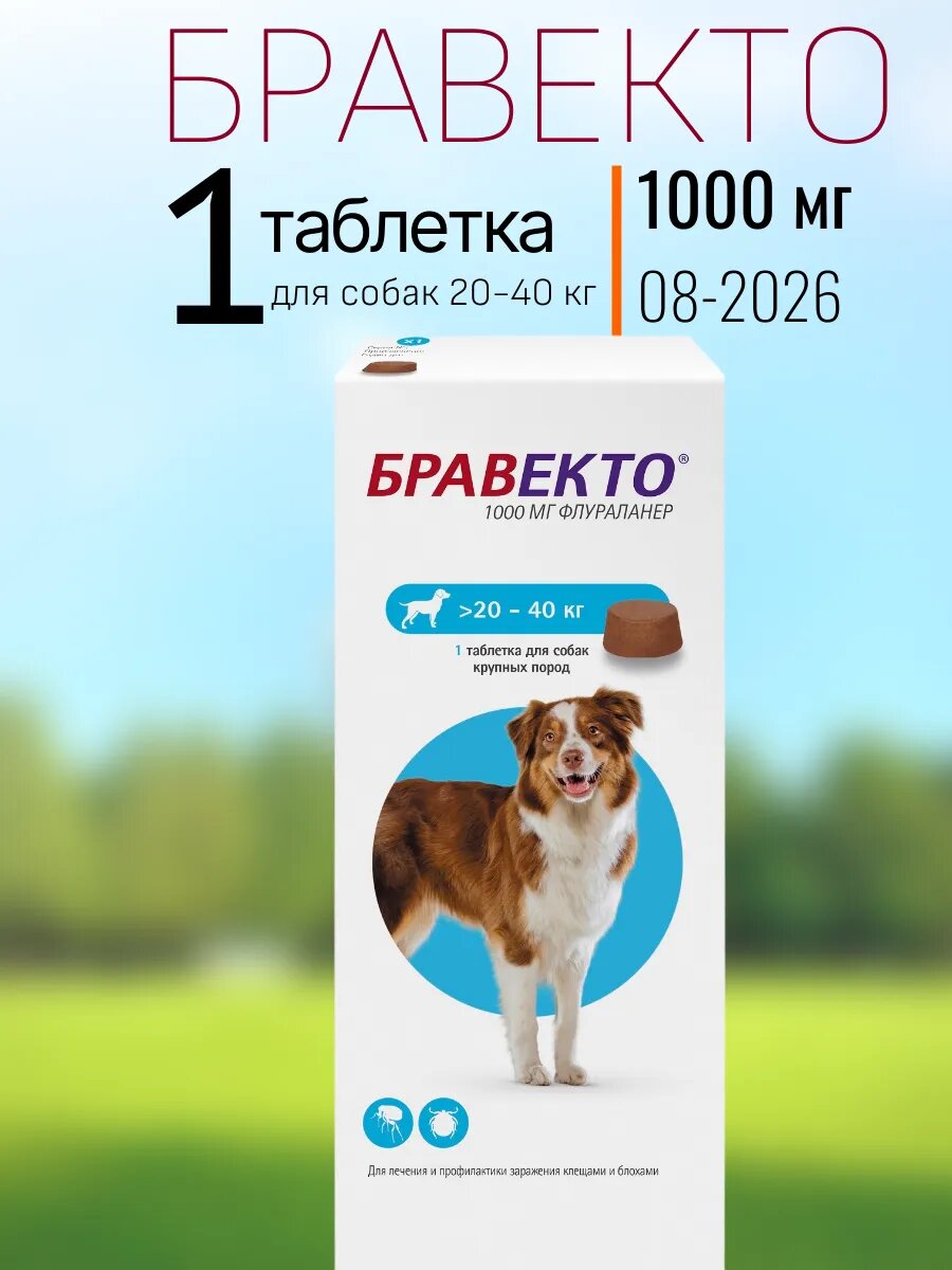 Бравекто 1000 мг для собак таблетки от блох и клещей 1 шт MSD