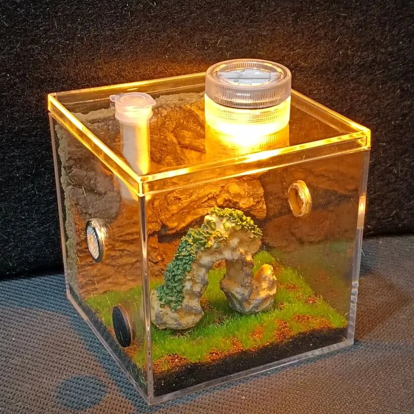 Террариум для улиток 10х10х10 см Прозрачный кубический акватеррариум с вентиляцией и отверстиями для кормления