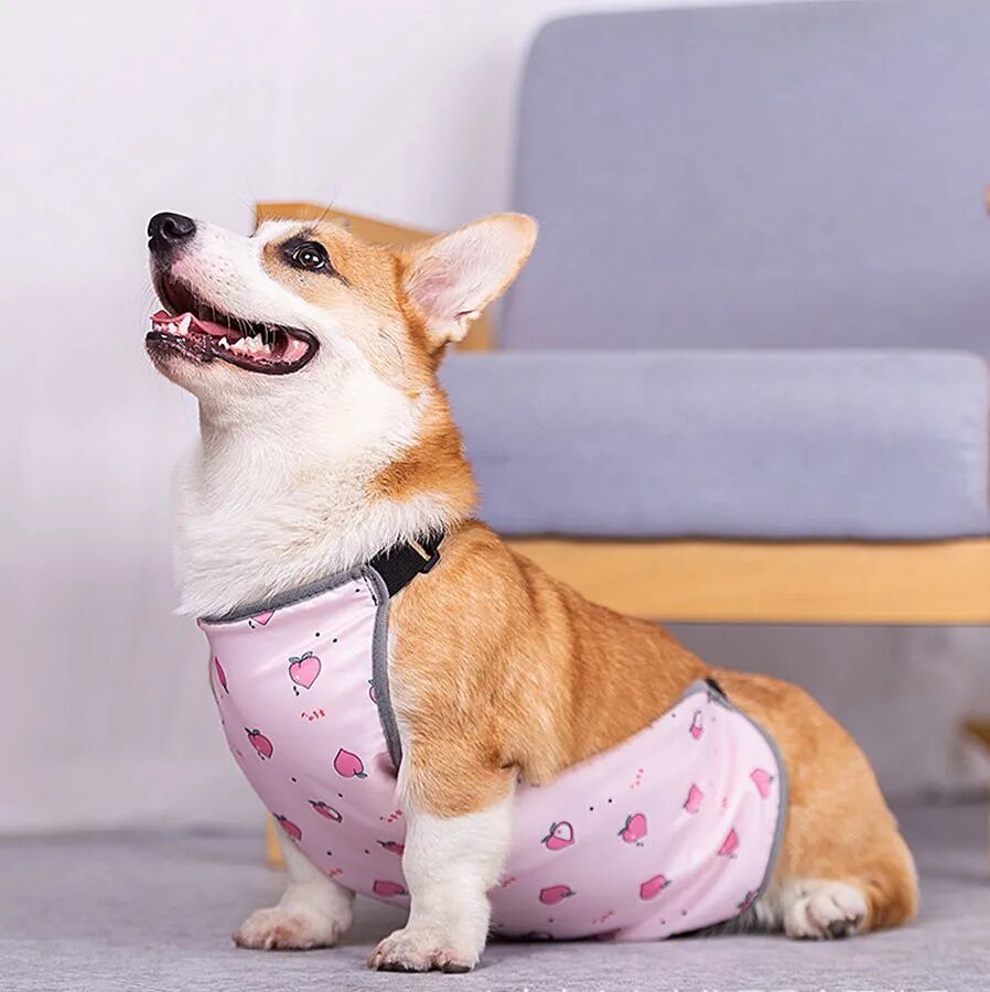 Грязезащитный фартук для собак L, для девочек, водоотталкивающий, розовый, для корги