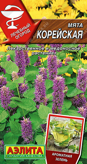 Мята Корейская