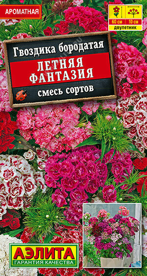 Гвоздика Летняя фантазия, смесь сортов
