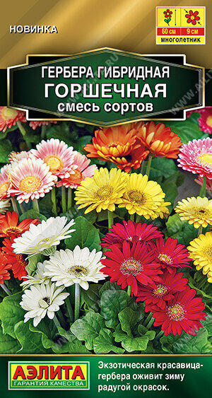 Семена цветов Аэлита "Гербера Горшечная", смесь сортов, для букета