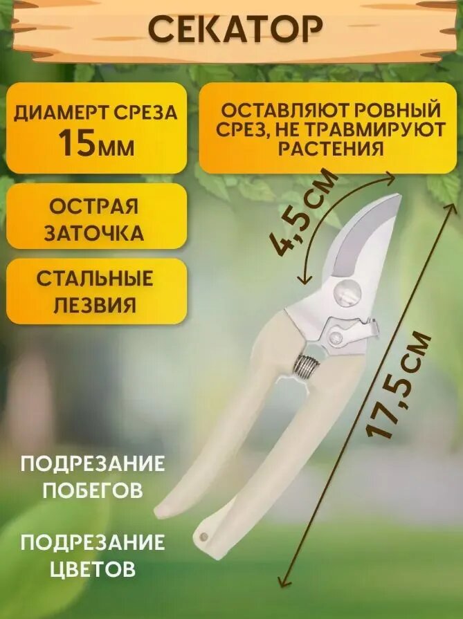 Секатор