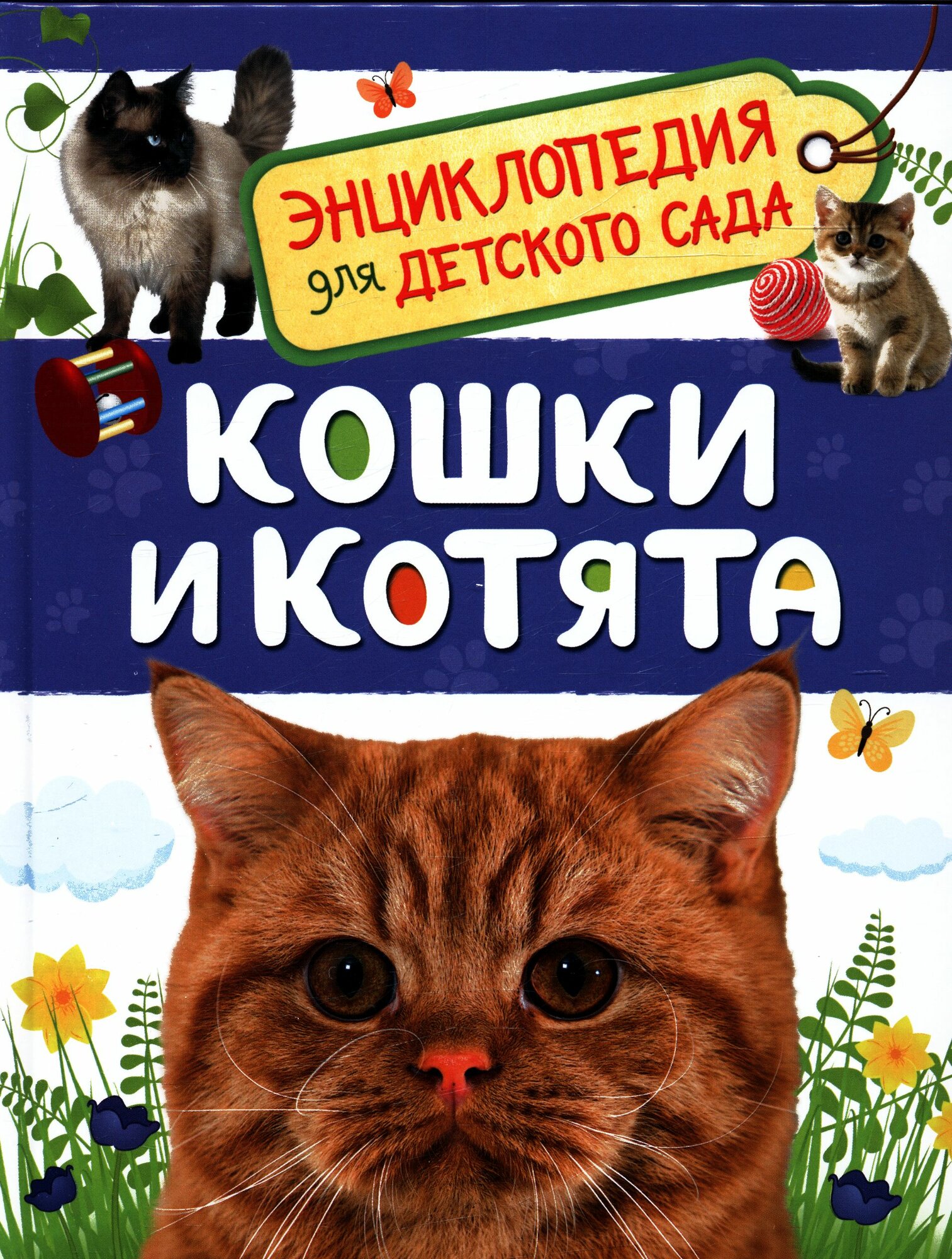 Кошки и котята (Энциклопедия для детского сада) (Мигунова Е. Я.)