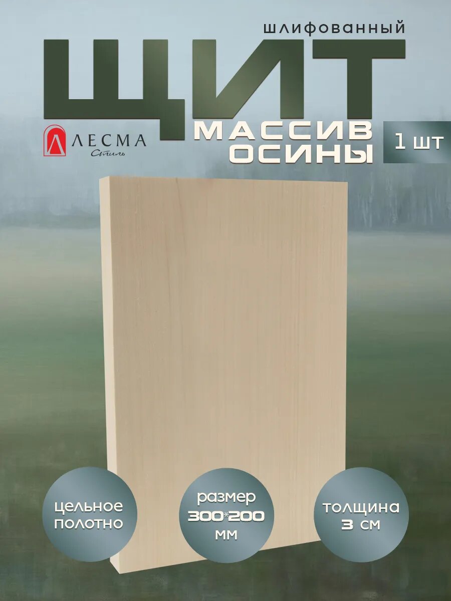 Щит заготовка цельный для резьбы и творчества массив 30*20 см