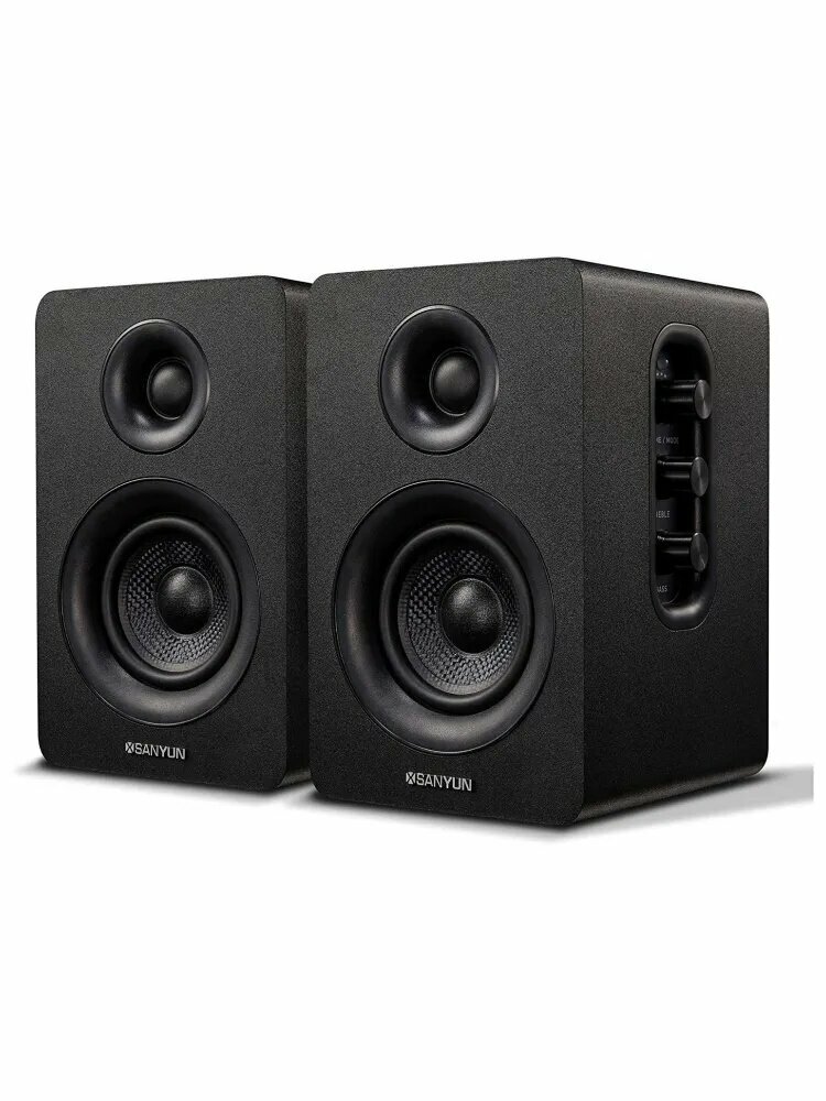 Эксклюзивная черная акустика Sanyun SW208