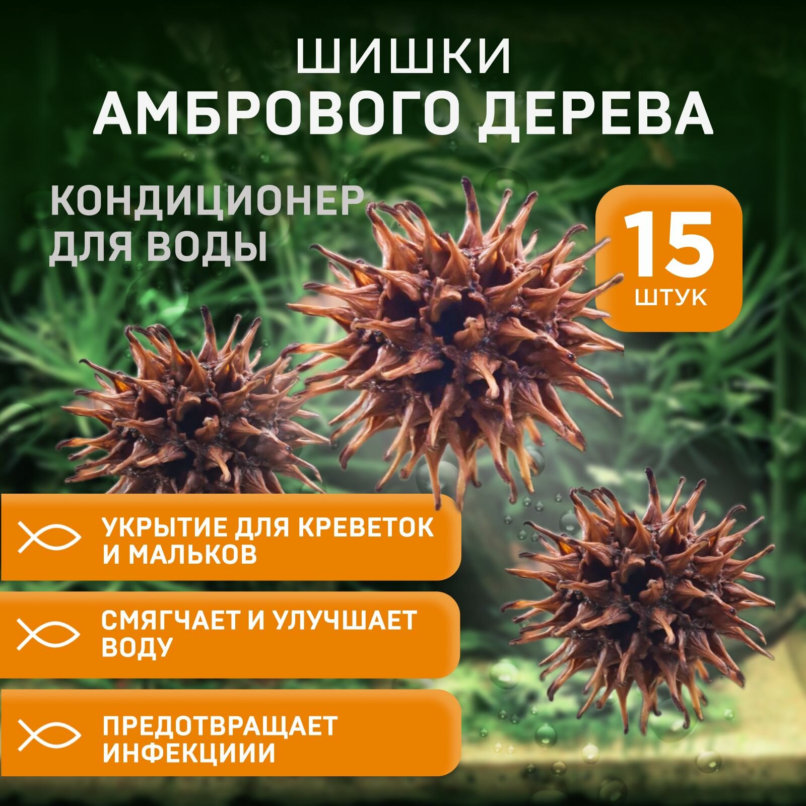 Шишки амбрового дерева, 15 штук соплодия амбрового дерева шишки ликвидамбра