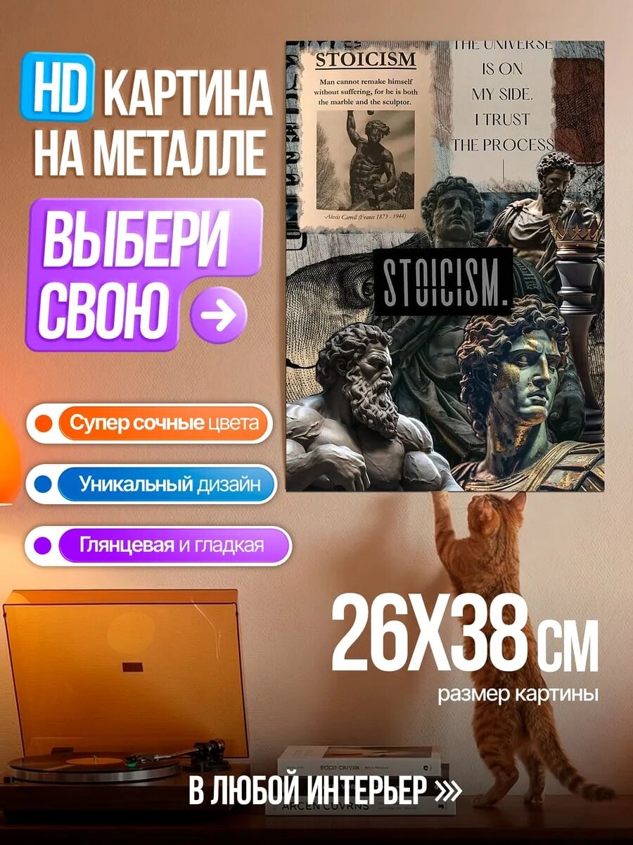 Картина на HD металле стоицизм философия