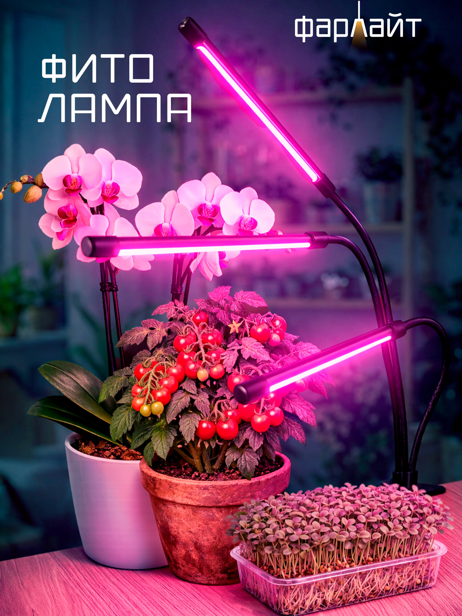 Фитосветильник светодиодный на прищепке 12 Вт 3 головы с таймером сине-красный спектр Фарлайт