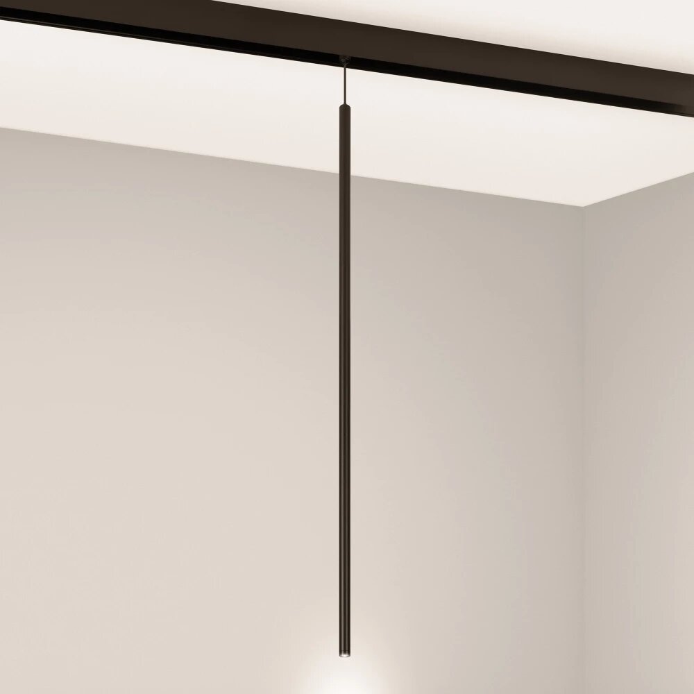 Светильник MAG-ORIENT-SPOT-HANG-L600-R12-2W Warm3000 (BK, 20 deg, 48V) (Arlight, IP20 Металл, 5 лет) 044502