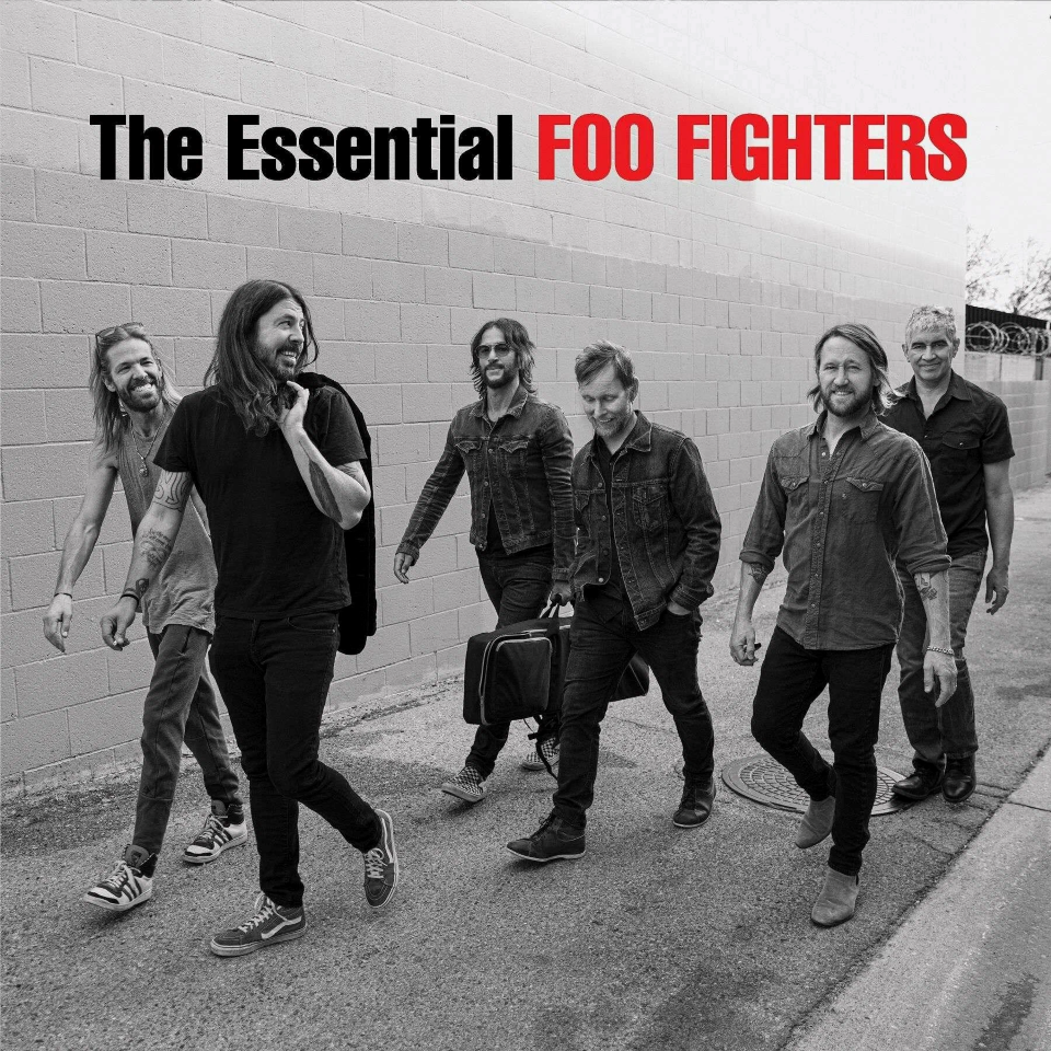 Виниловая пластинка Foo Fighters - The Essential