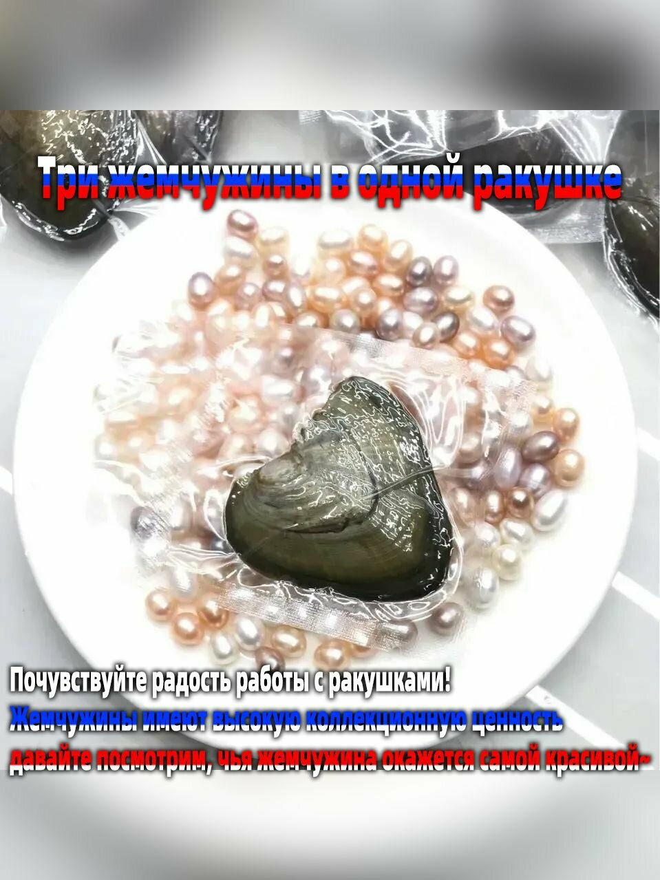 В одной раковине три жемчужины