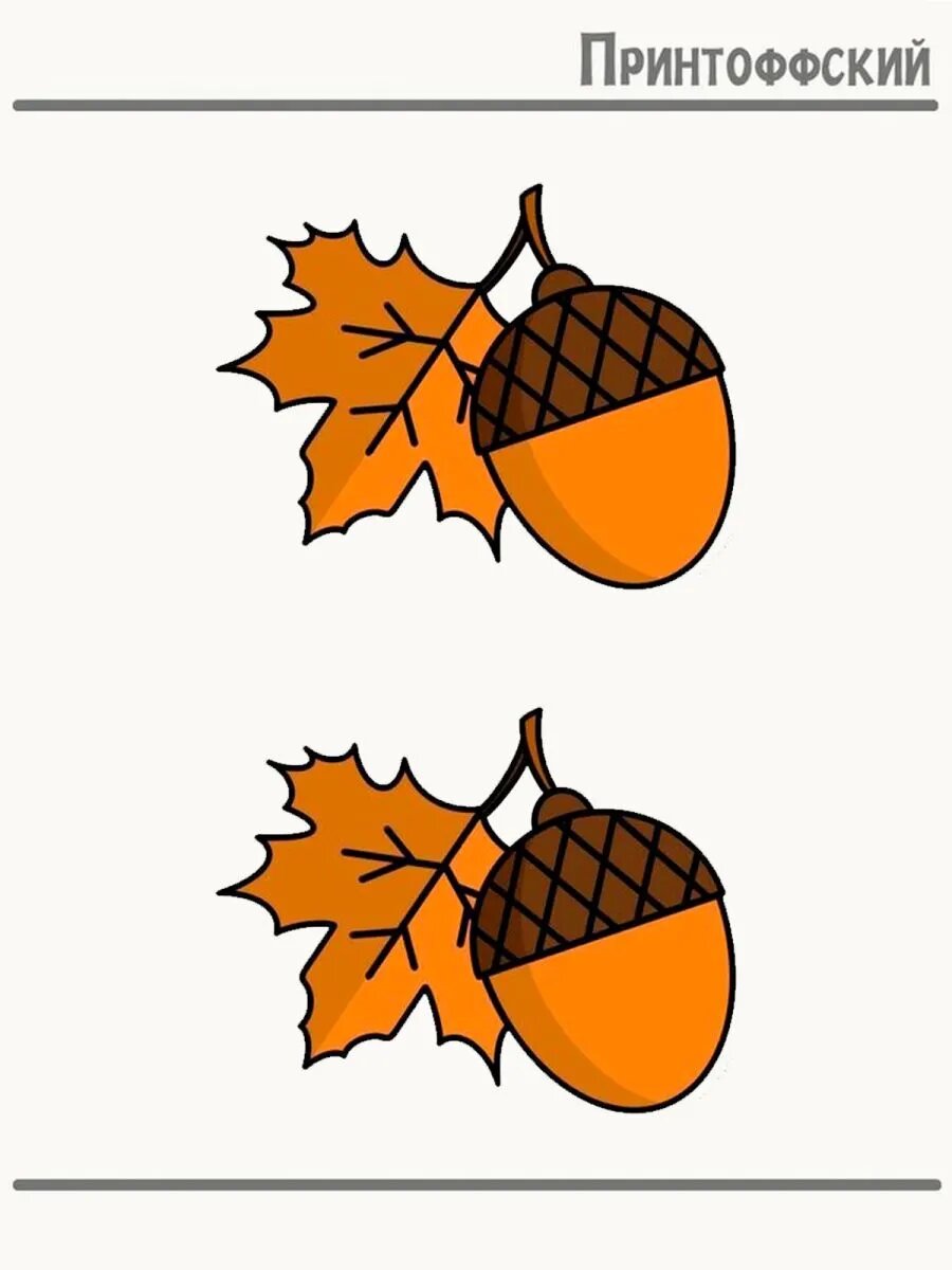 2-е (Две) Термонаклейки Желудь