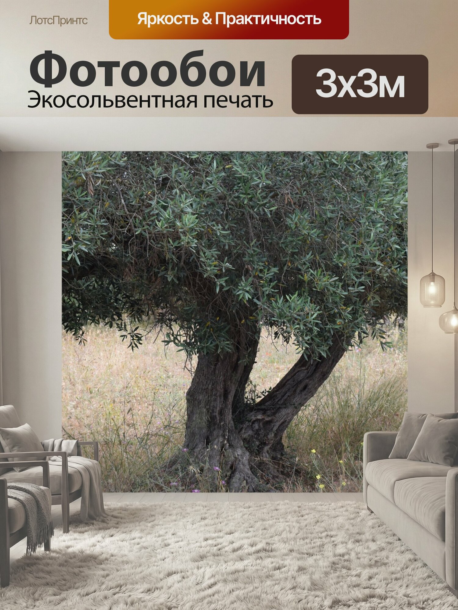 Фотообои "Оливковое дерево, дерево, старое дерево" 300x300 см. экосольвентная печать