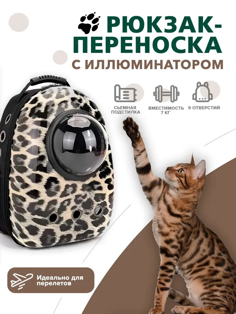 Переноска для животных, удобные ручки, большая вместимость, размеры 45x31x23 см
