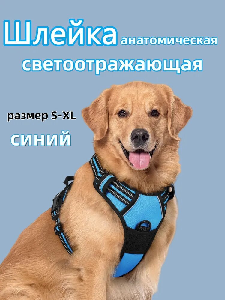 Нагрудная шлейка светоотражающая для собак собак средних и крупных пород, анатомическая синий/размер XL
