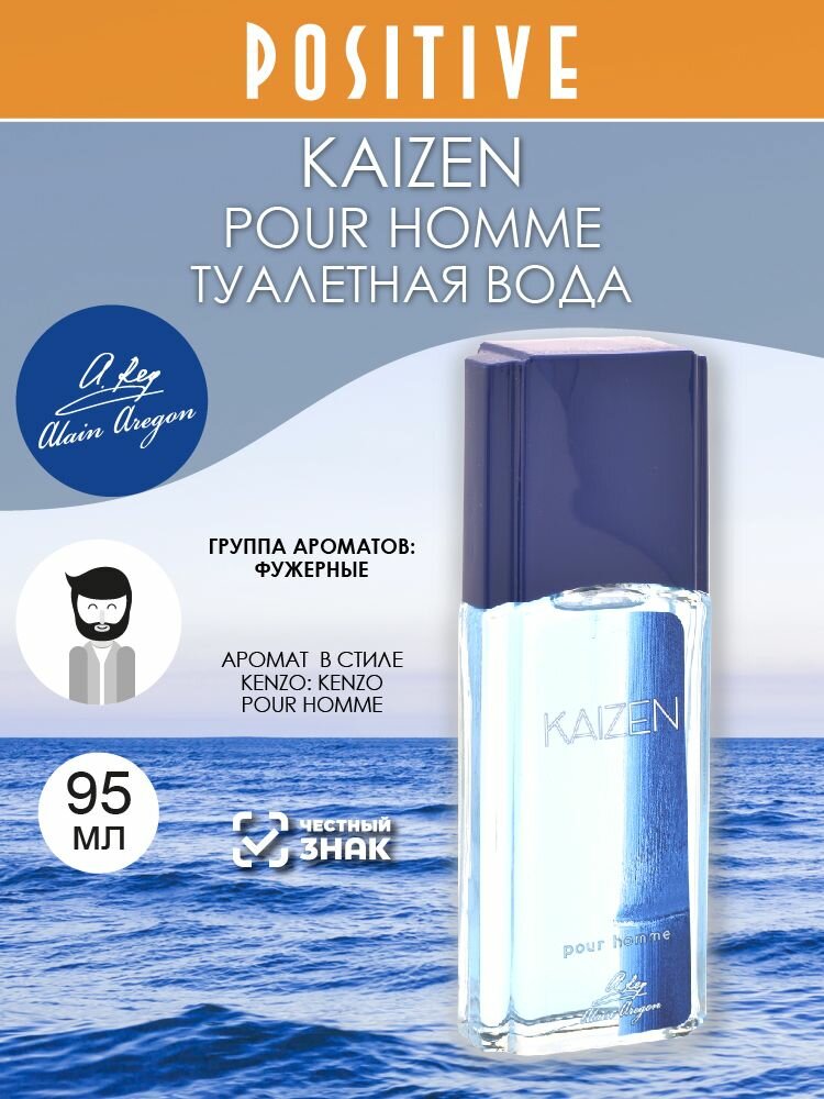 ALAIN AREGON Туалетная вода мужская KAIZEN POUR HOMME, фужерный аромат 95 мл фужерный для мужчин 95 миллилитров