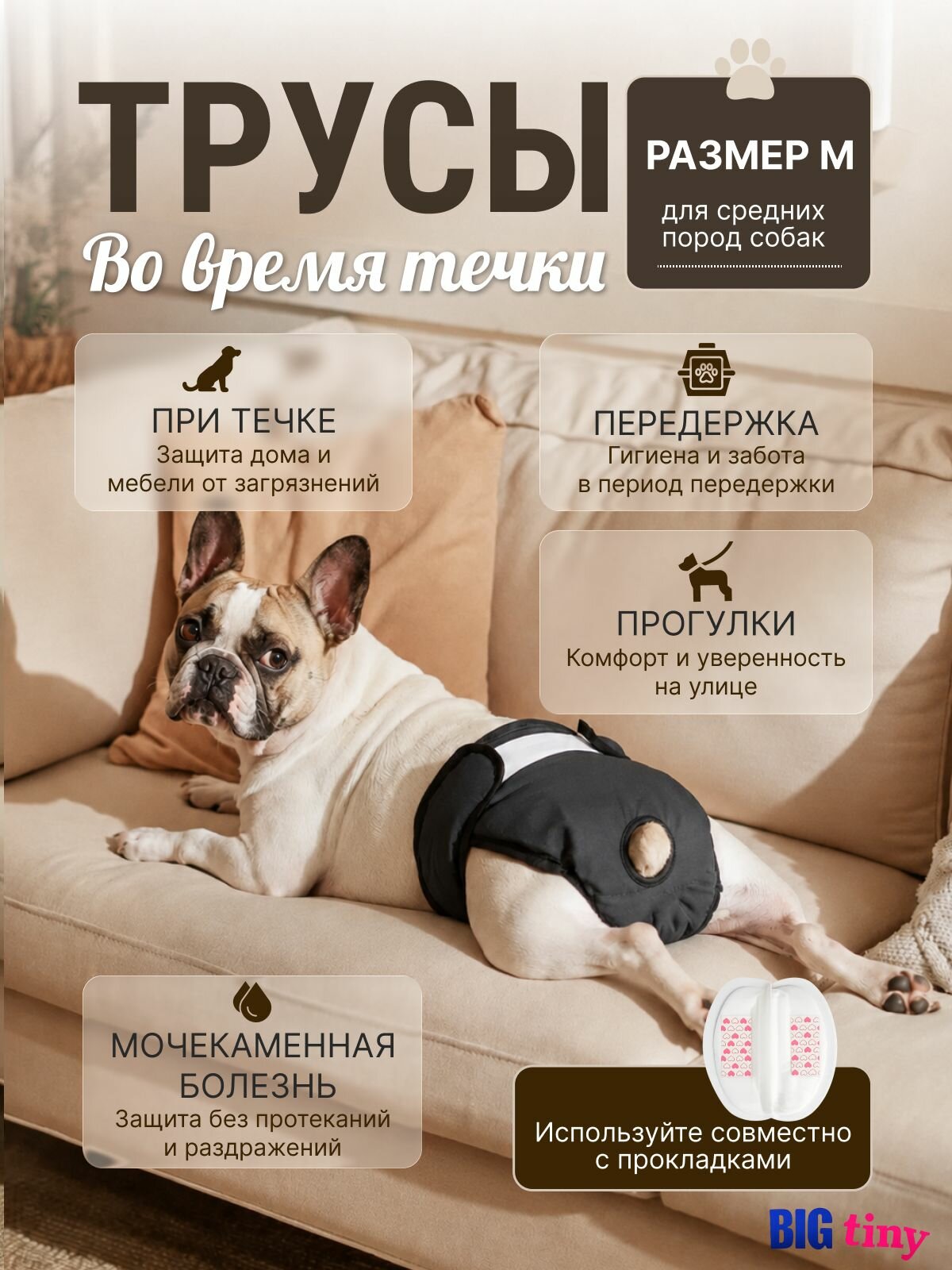 Трусы для собаки во время течки, M