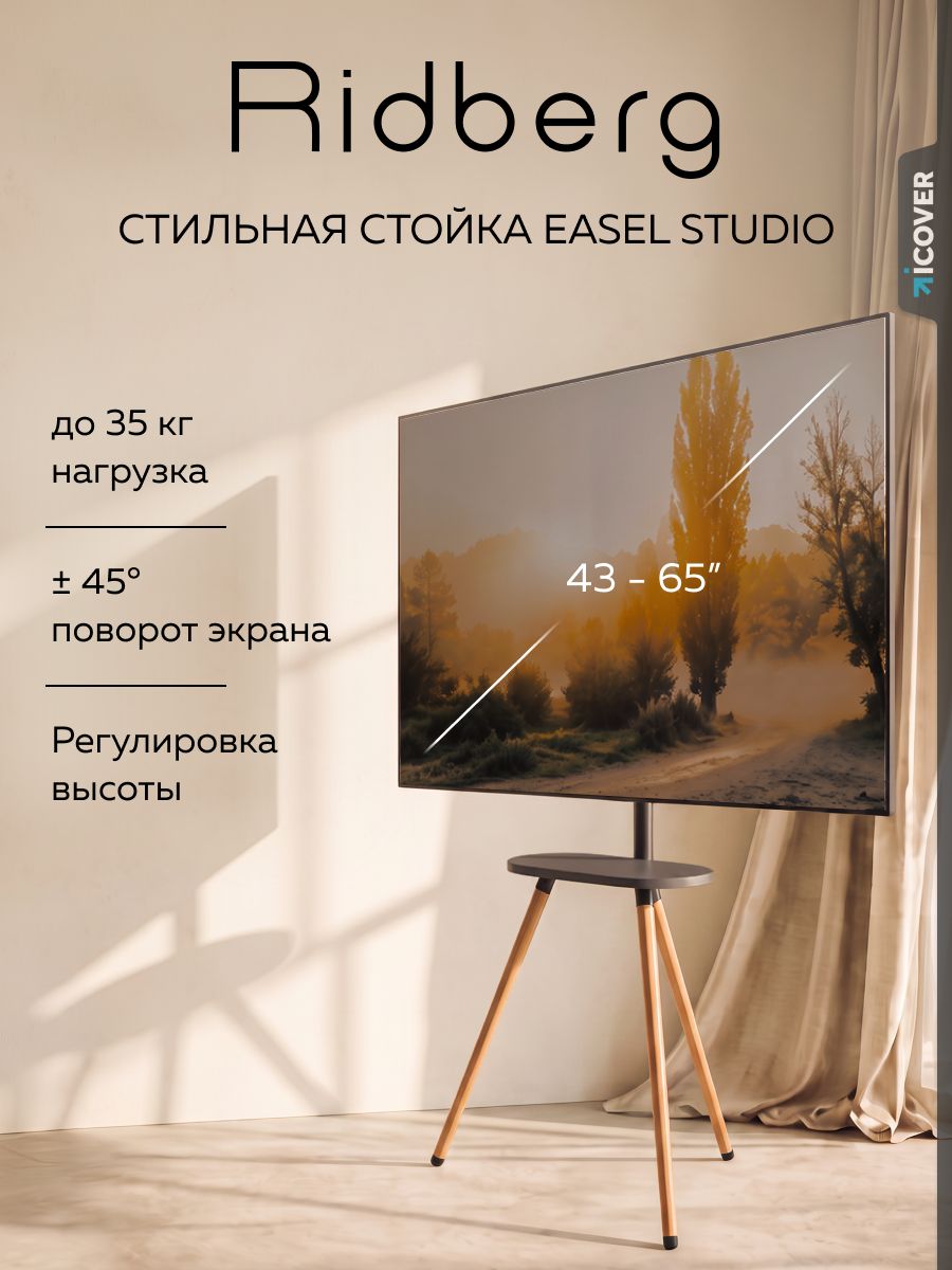 Стойка для телевизора с кронштейном Ridberg FS28-44F-04 (Black)