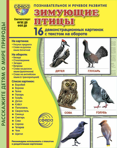 Демонстрационные карточки Зимующие птицы. 16 демонстрационных картинок с текстом В папке 173х220 мм 2025 года