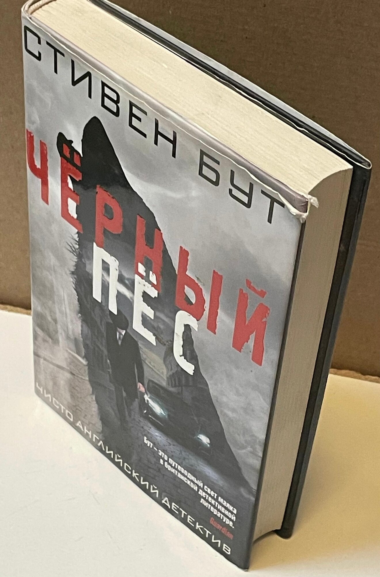 Чёрный пёс — фото 1