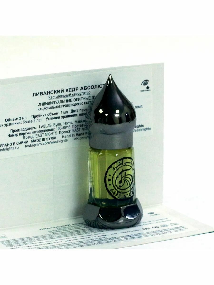Ливанский кедр абсолют
