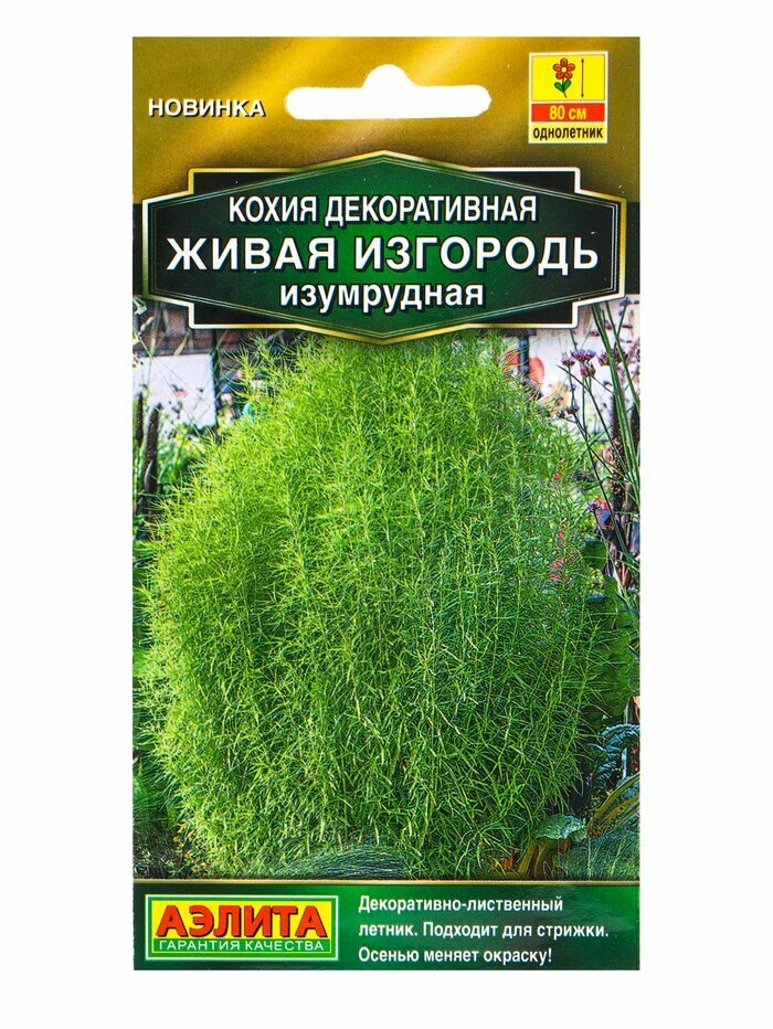 Семена цветов Кохия Живая изгородь изумрудная Золотая серия, Ц/П,0,1 г