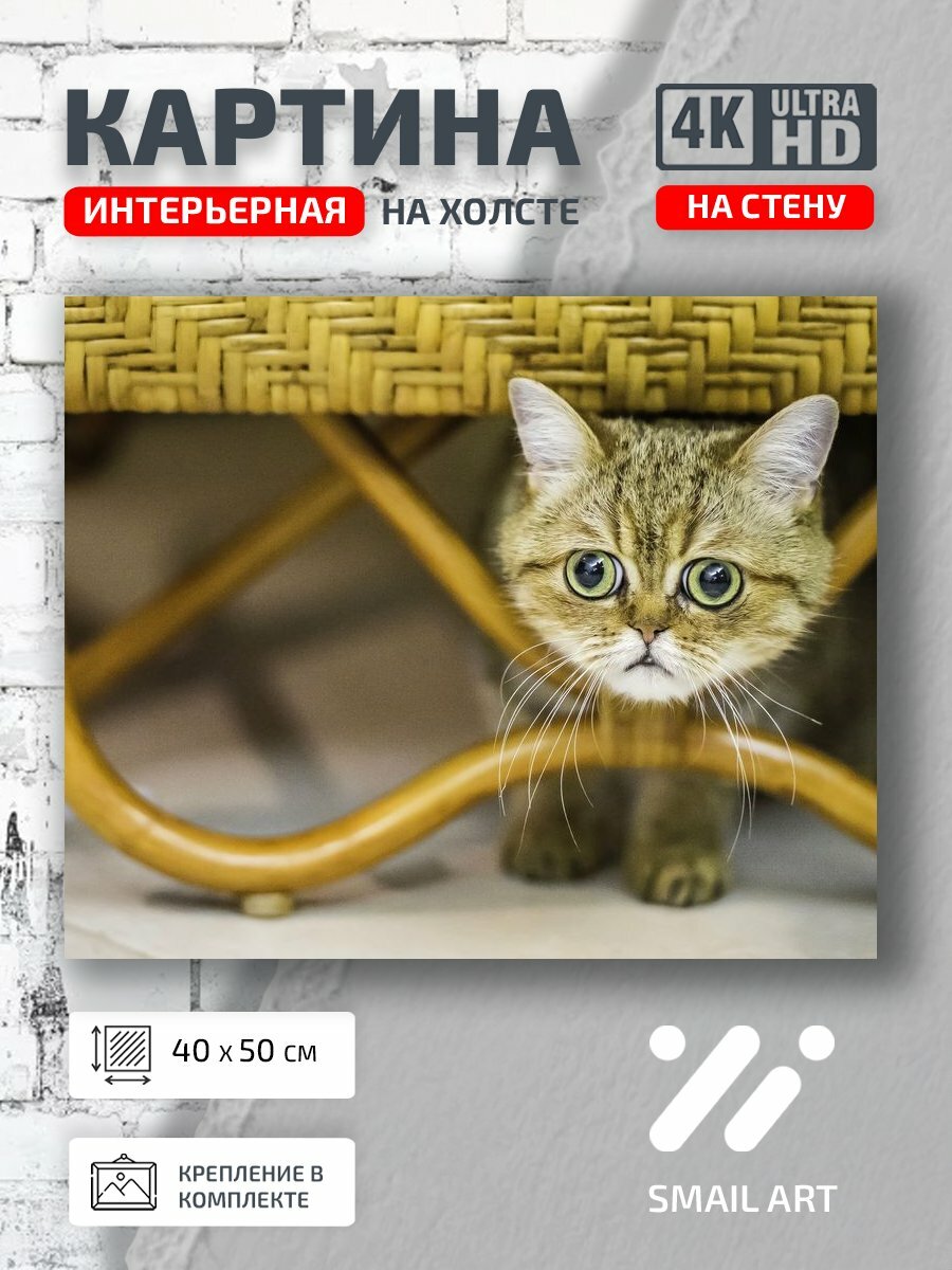 Картина на холсте интерьерная 40 на 50 на стену Усы Animal для детской animal style декор