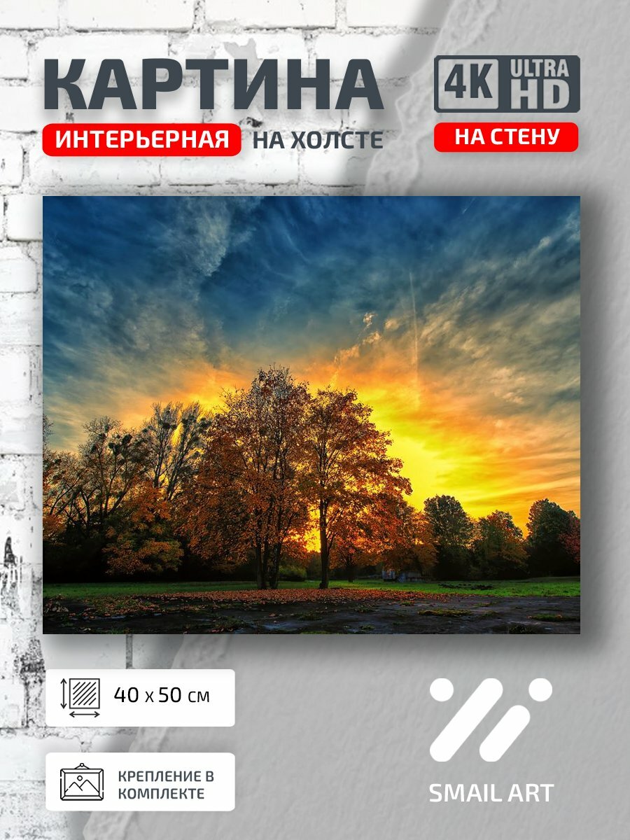 Картина на холсте интерьерная 40 на 50 на стену Деревьями Landscape для гостиной пейзаж
