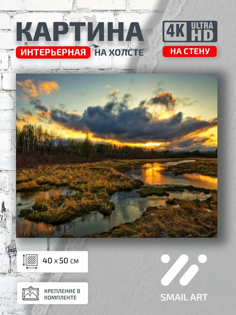 Картина на холсте интерьерная 40 на 50 на стену Тучей Landscape для кабинета пейзаж декор