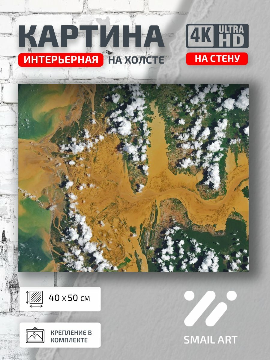Картина на холсте интерьерная 40 на 50 на стену Амазонка Landscape для офиса пейзаж декор
