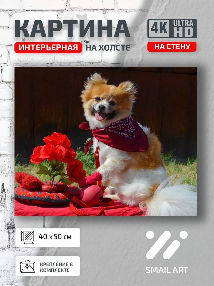 Картина на холсте интерьерная 40 на 50 на стену Цветы Mood для гостиной атмосфера интерьер