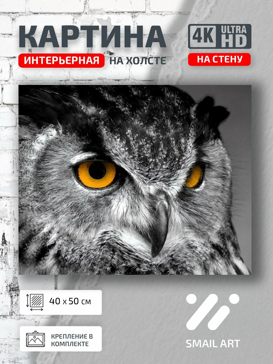Картина на холсте интерьерная 40 на 50 на стену Филин Animal для кафе animal style интерьер
