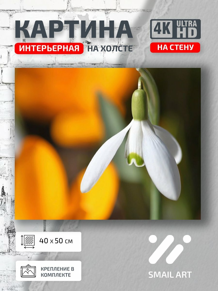 Картина на холсте интерьерная 40 на 50 на стену Лепестки Mood для офиса атмосфера интерьер
