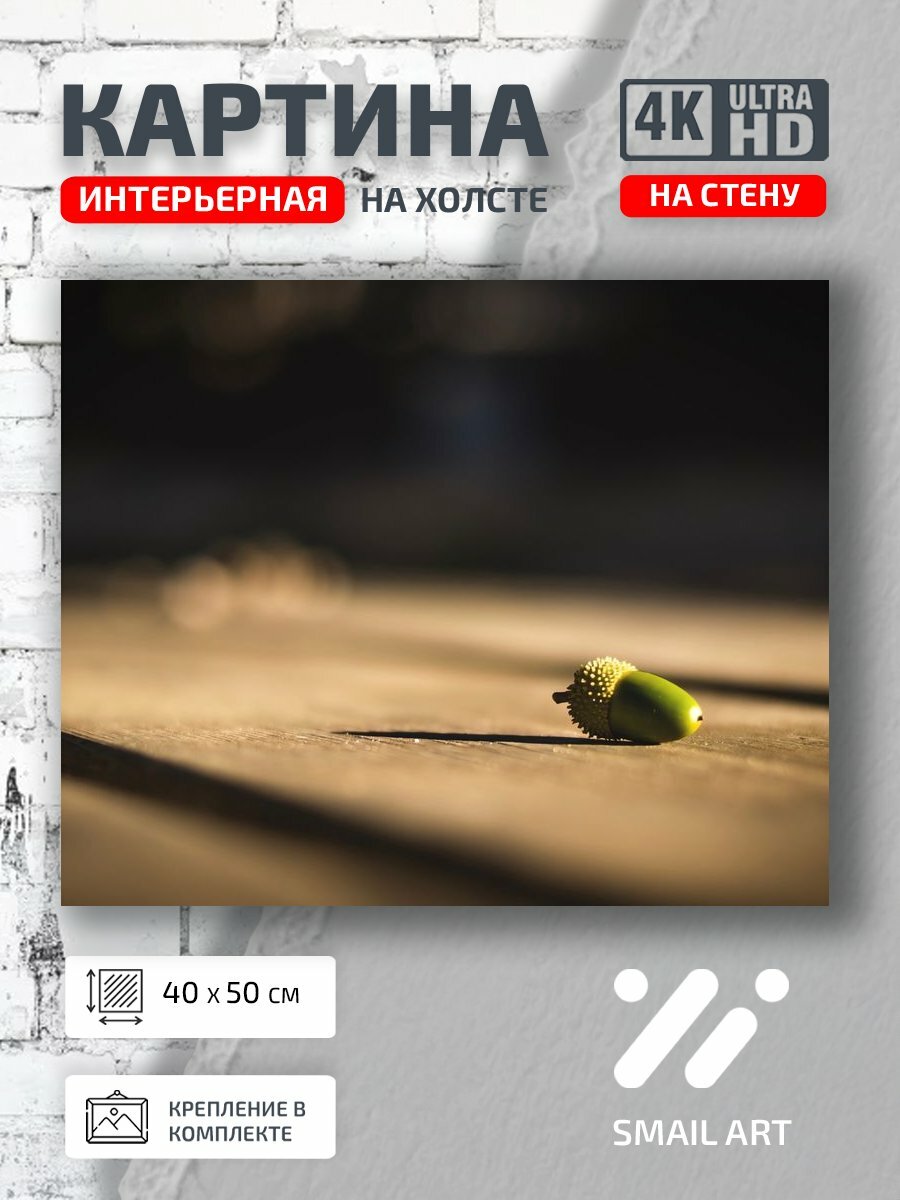 Картина на холсте интерьерная 40 на 50 на стену Желудь Landscape для гостиной пейзаж декор