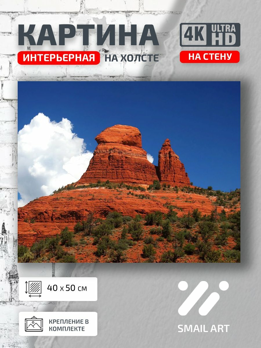 Картина на холсте интерьерная 40 на 50 на стену Аризона Arizona для кабинета атмосфера