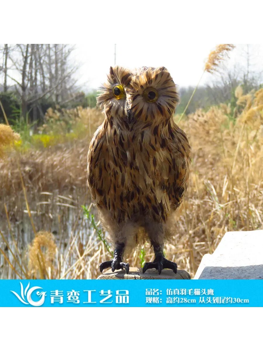 Сова белая крылья Другие материалы ремесла