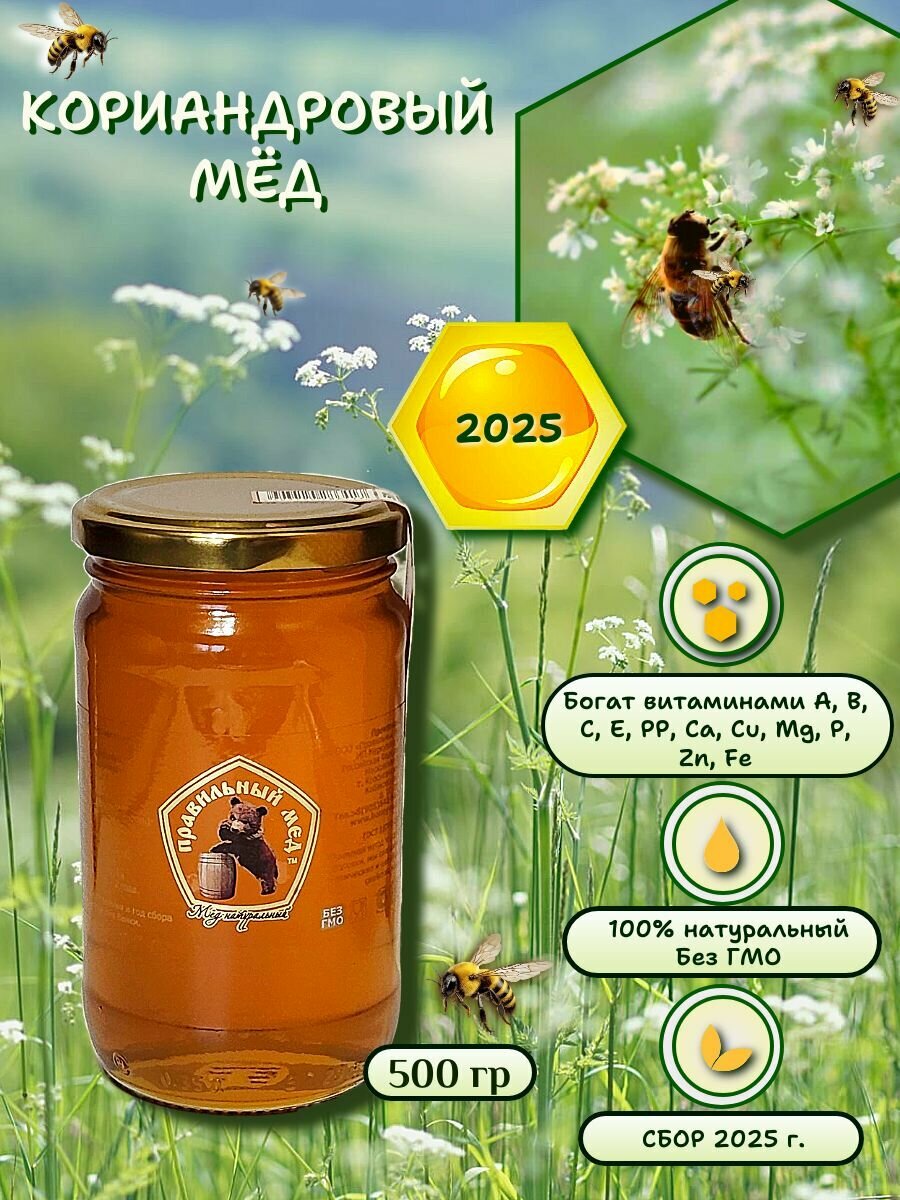 Мёд натуральный Кориандровый 500гр. (сбор 2025г.), Правильный мёд