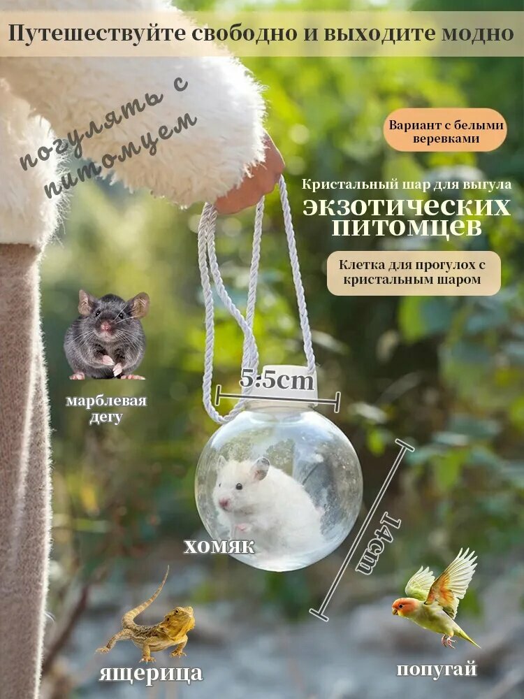 Клетка для маленьких домашних животных, прозрачная клетка