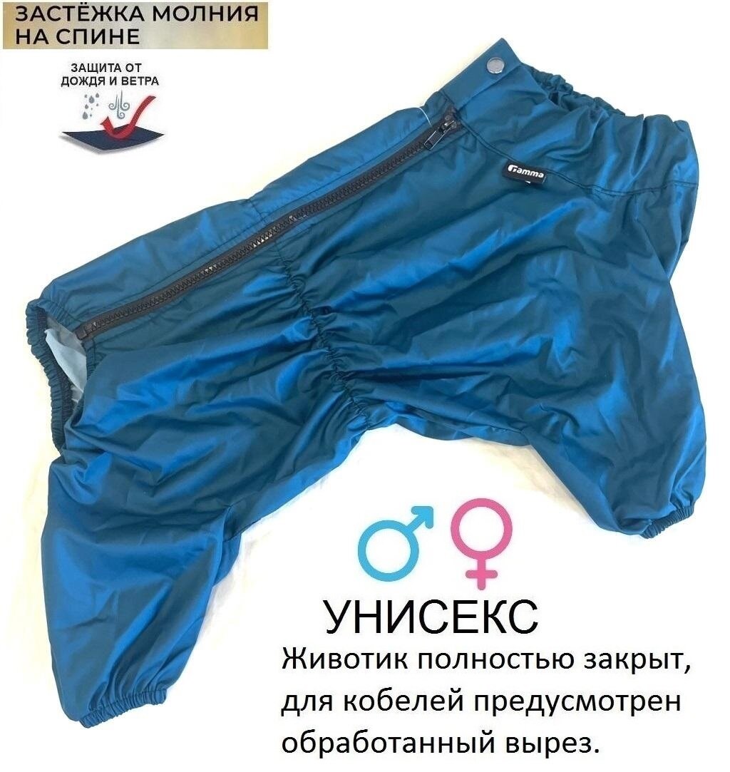 "Пудель карликовый". Дождевик для собак 25см. (25см )