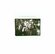 Диск The Smashing Pumpkins Rotten Apples Greatest Hits (1 CD)